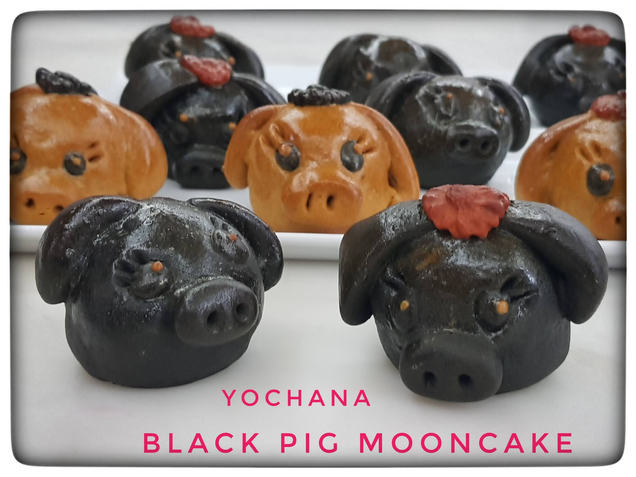 Yochana's Cake Delight! : Black Pig Mooncake