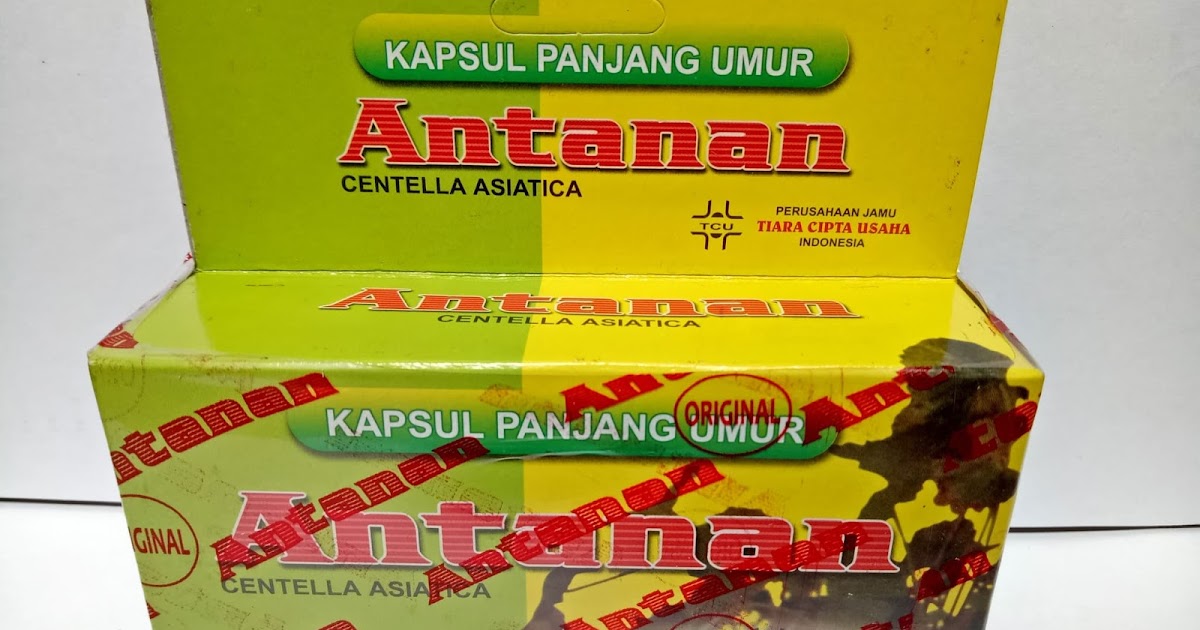 Kapsul Antanan Asli Jamu Asam Urat | Herbal Panjang Umur