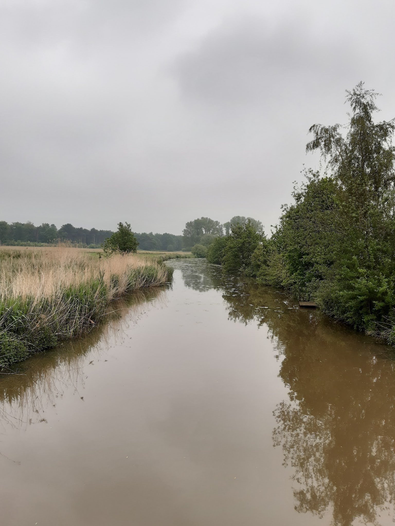 Walking Jeff: wandeling 2328 Meersel Dreef- Hoogstraten 18,5 km.