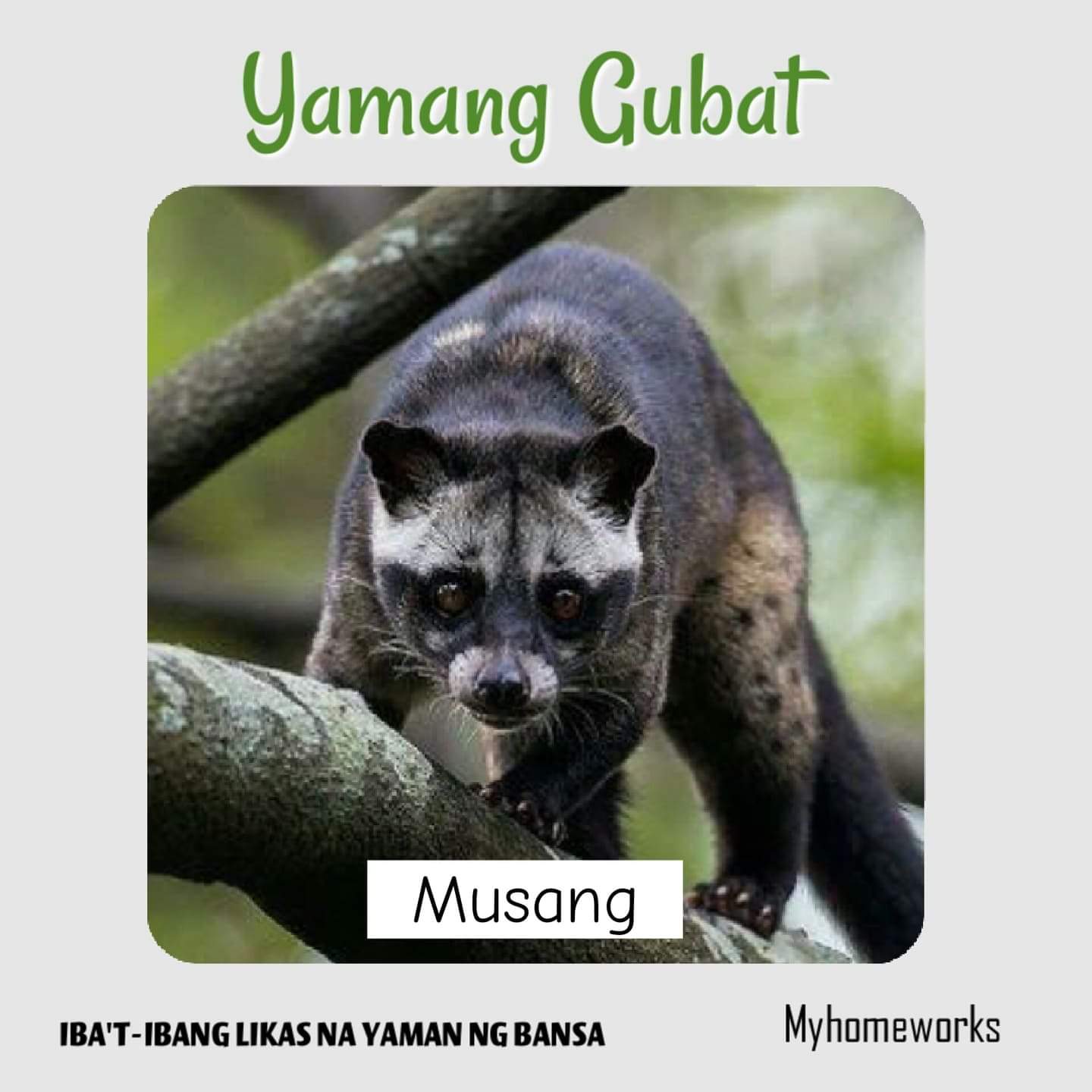 My Homeworks: YAMANG GUBAT