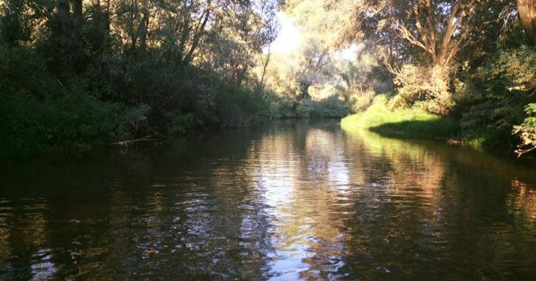 Despotovac: RESAVA NAŠA REKA - NAŠA LEPOTICA💗