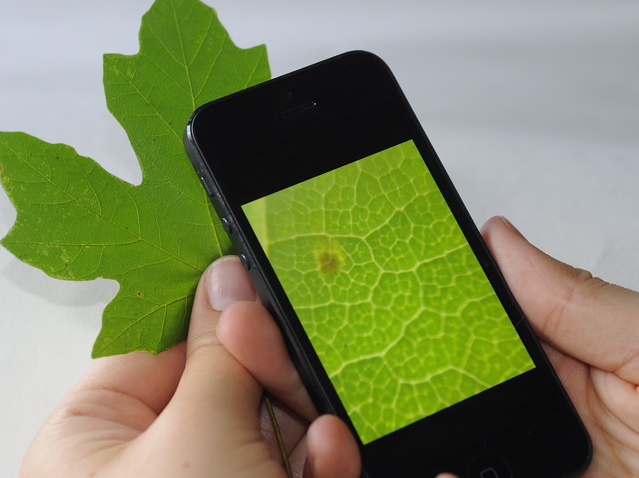 Nepal IT blogs: How to Use Smartphone as a Microscope using this simple ...