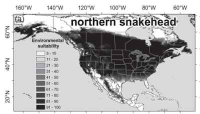 Virginia Tech Ichthyology Class : Northern Snakehead Expanding Range ...