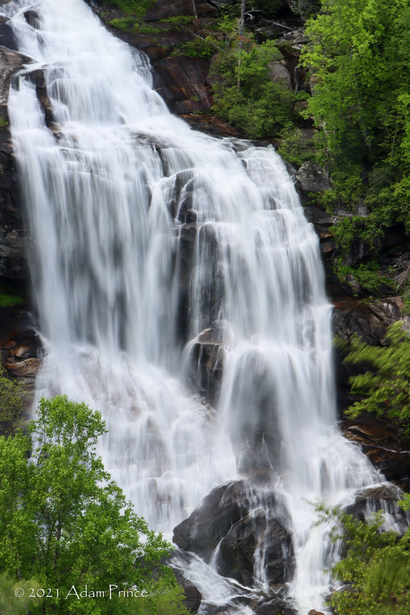 Whitewater Falls