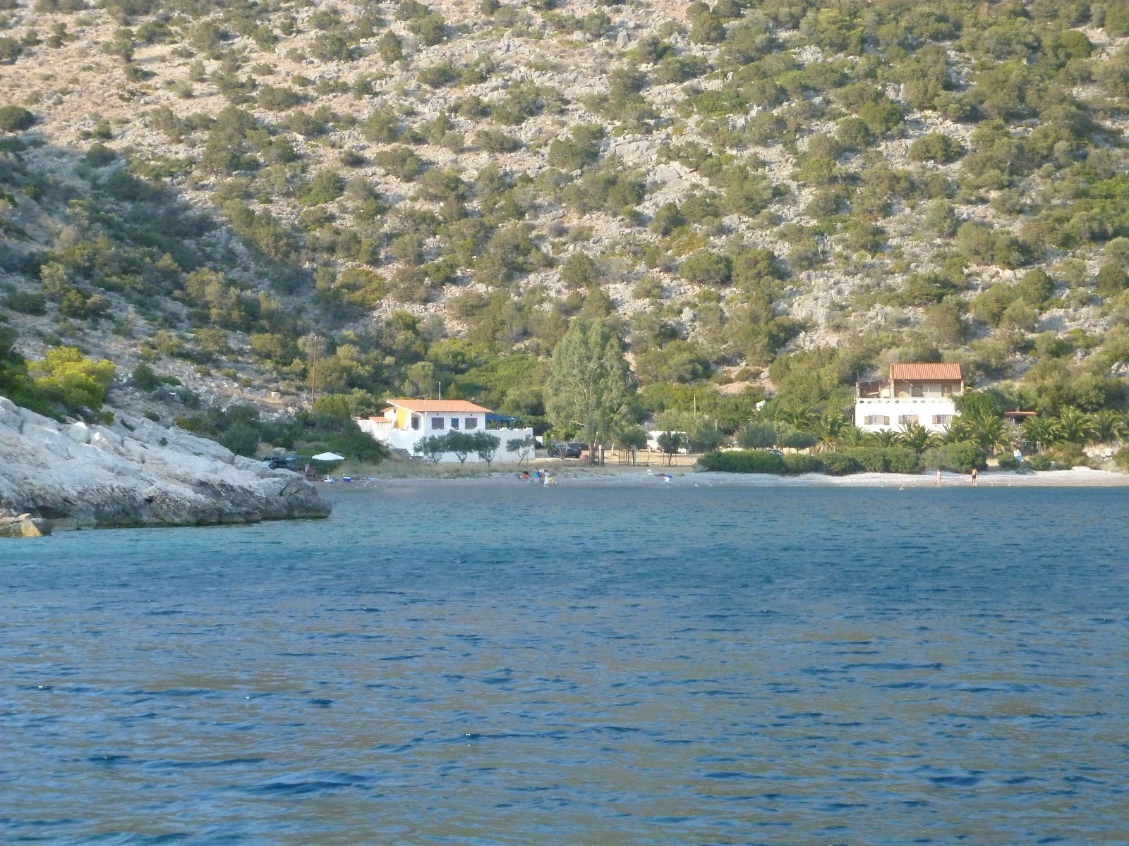 ΛΕΟΝΤΑΡΙ ΒΟΙΩΤΙΑΣ: Η ΑΓΝΩΣΤΗ ΑΛΥΚΗ