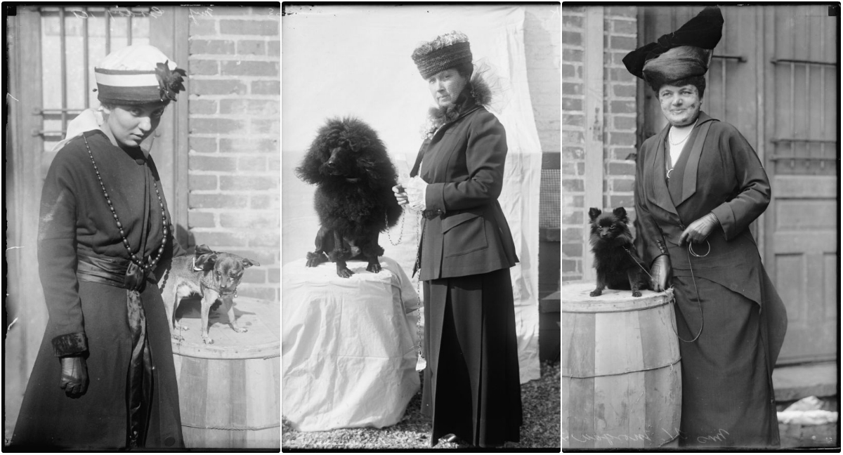 20 Lovely Photos of People With Their Dogs During the 1915 Dog Show ...