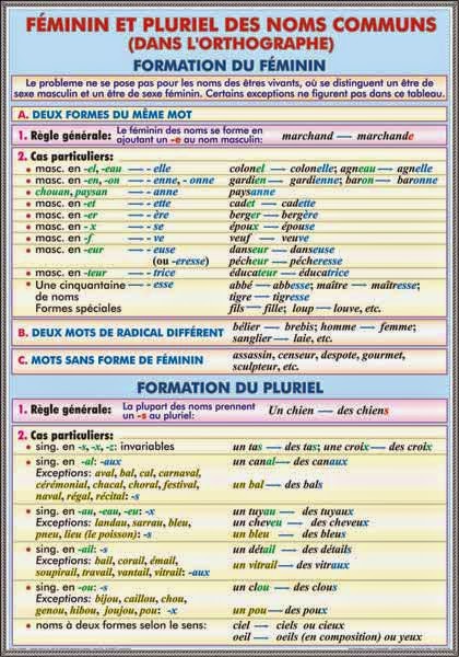 Le français utile: Le Féminin et le pluriel des noms communs