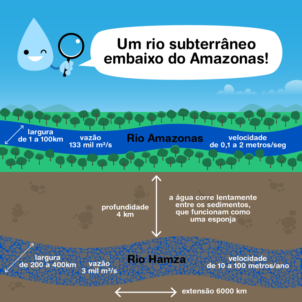 BIBOCA AMBIENTAL : CURIOSIDADES ( QUE VOCÊ PROVAVELMENTE NÃO SABIA ...