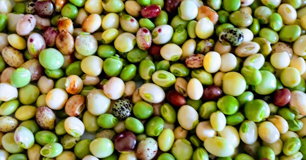 Togari Kalu Koottu - Fresh Green Pigeon Peas in a mildly spiced coconut ...
