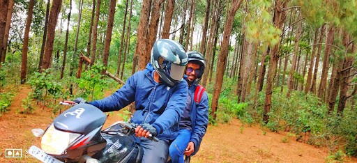 Netarhat: Jharkhand's Secret Hill Station Part 01 (Travel Blog #03 ...