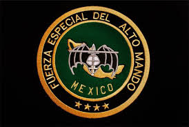 GAFES (Grupo Aereomovil de Fuerzas Especiales)