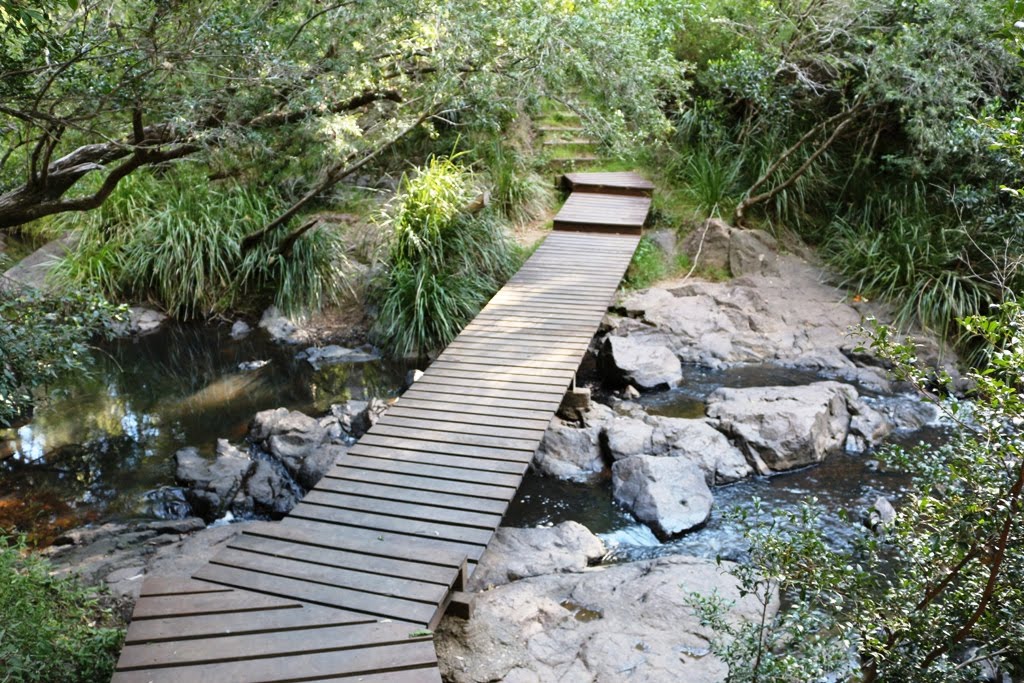 National Park Odyssey: Peach Trees Camping Area, Jimna State Forest, QLD.