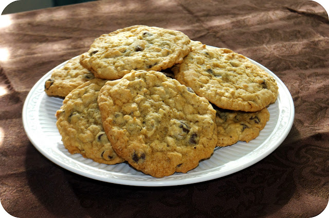 Cause I Gotta Feed Them Something