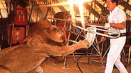 Surrender to the Void: Fast, Cheap, & Out of Control