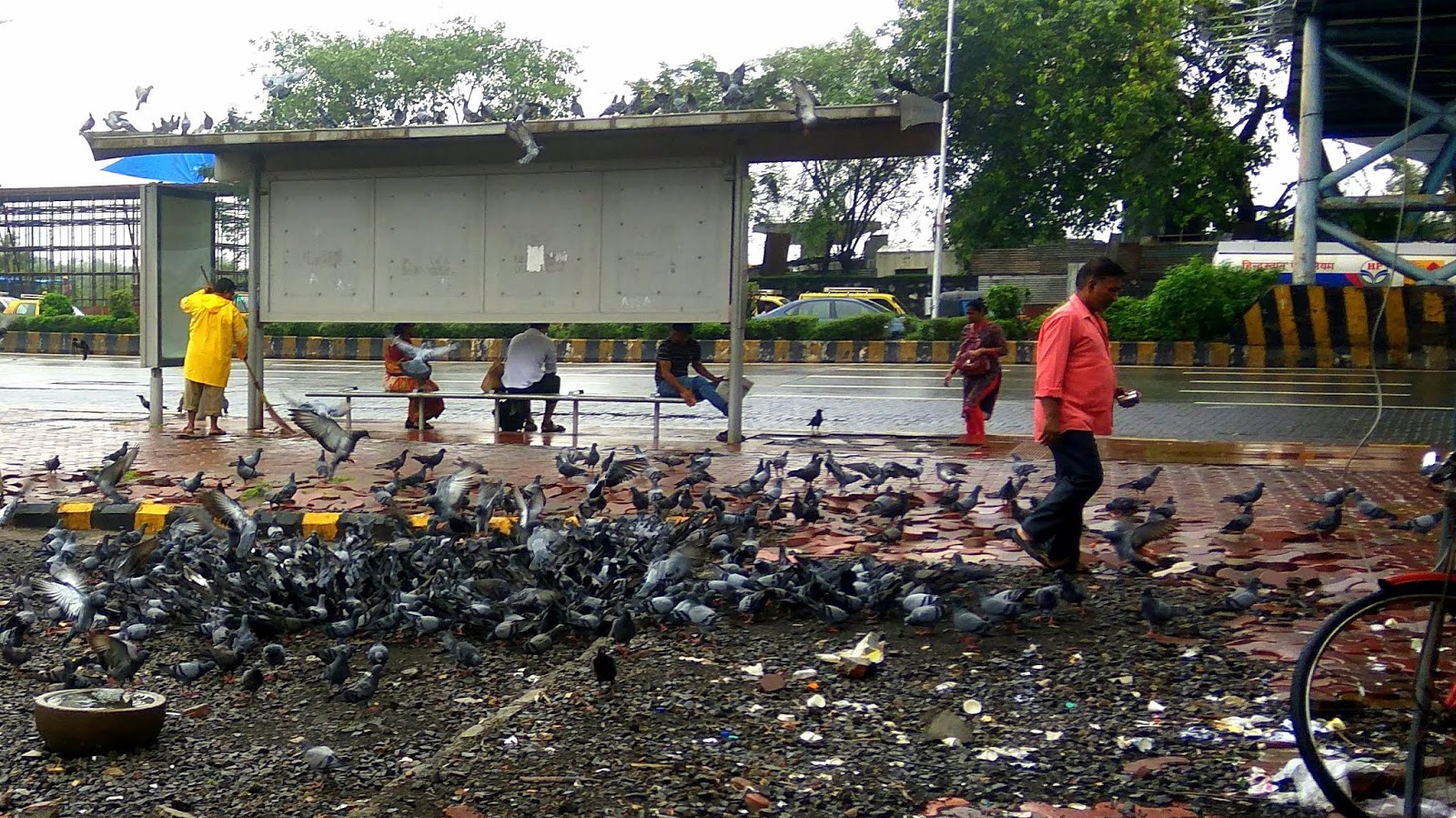 Mumbai Daily: Rule the roost