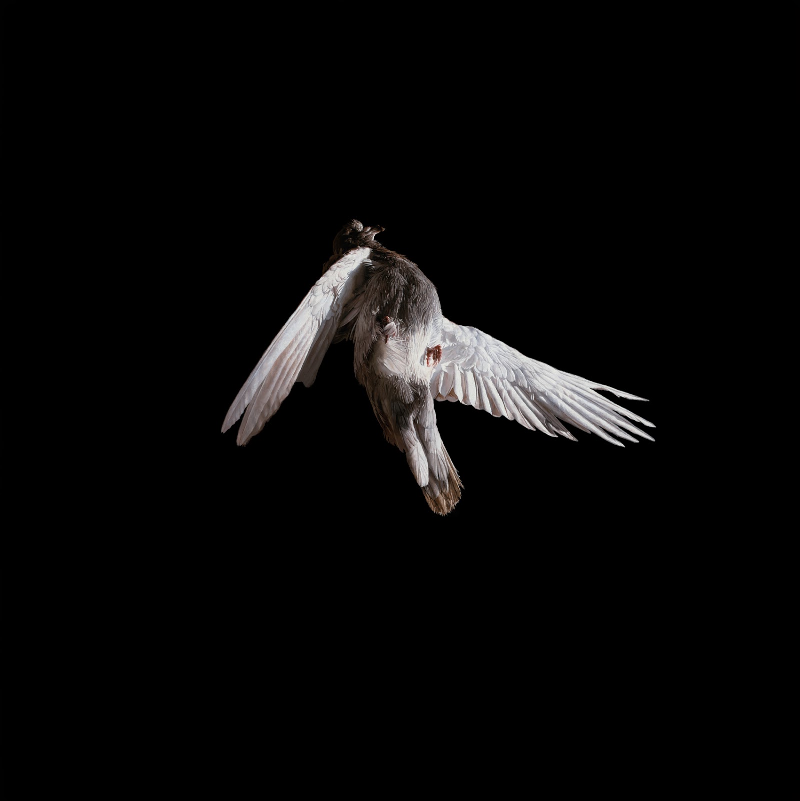 DRAWING AT DUKE: Jeremy Geddes - Micheal Head