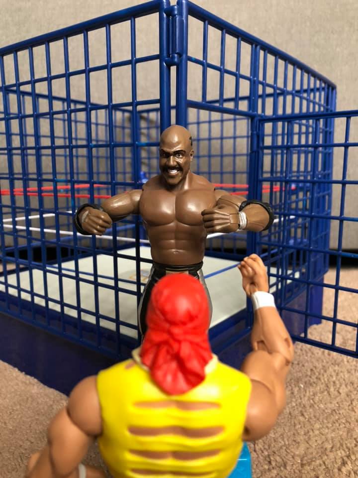 Hulk Hogan Vs Zeus