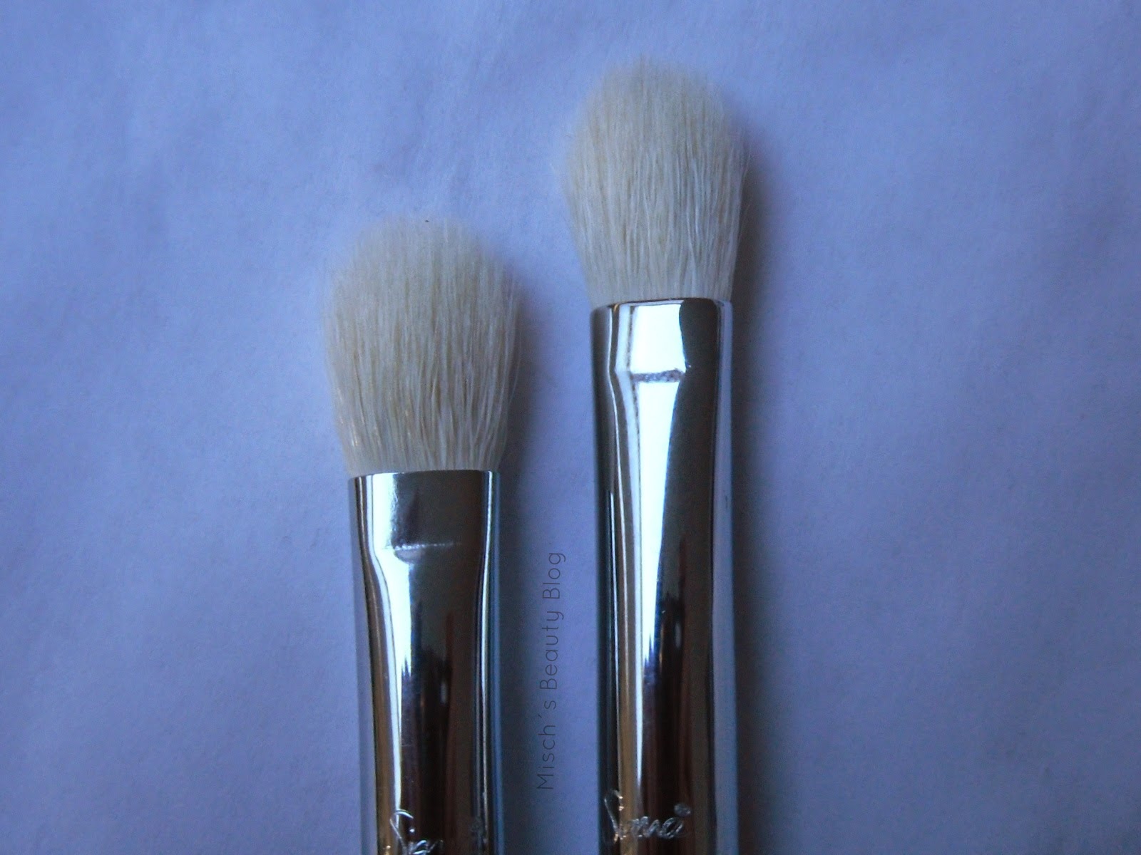 Misch's Beauty Blog: New Sigma Brushes! E30 and F40