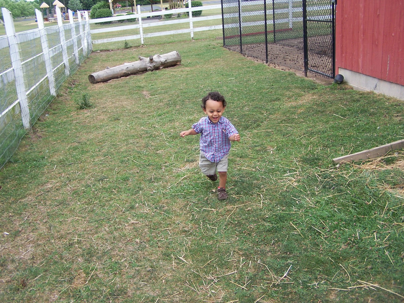 Three Cats and a Baby: A Day At The Farm
