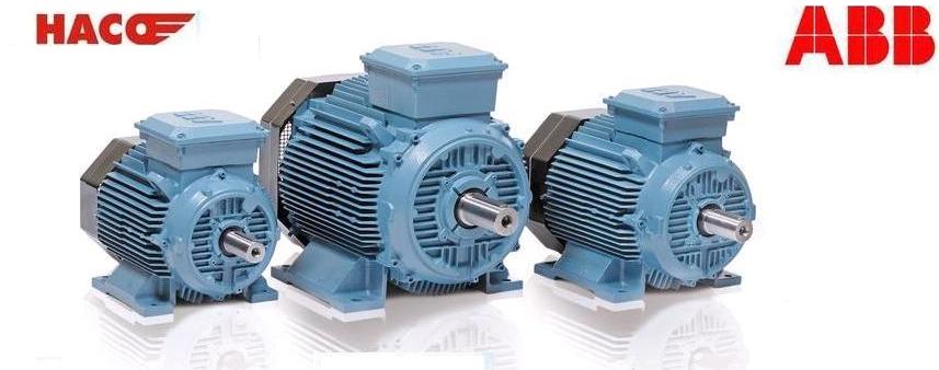 MOTOR ABM - Động cơ điện ABM