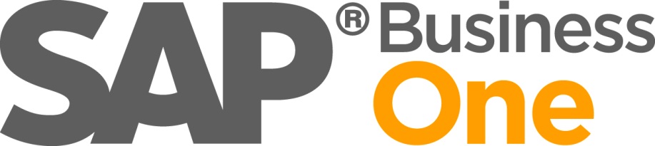 Características y limites del sistema erp SAP BUSINESS ONE