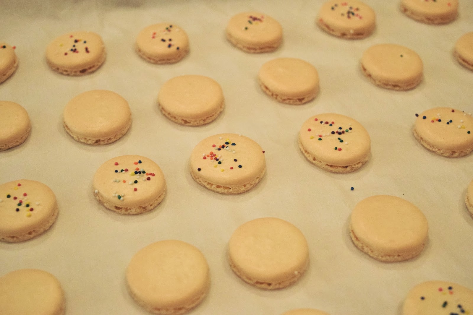 I Should Have Been a Housewife: Vanilla Sprinkle French Macarons