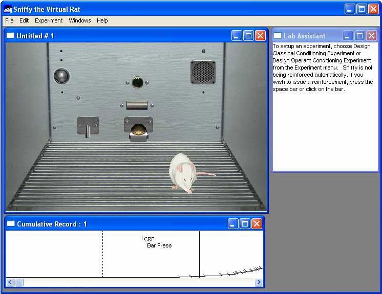 Psychology of Learning: Training Sniffy, The virtual rat
