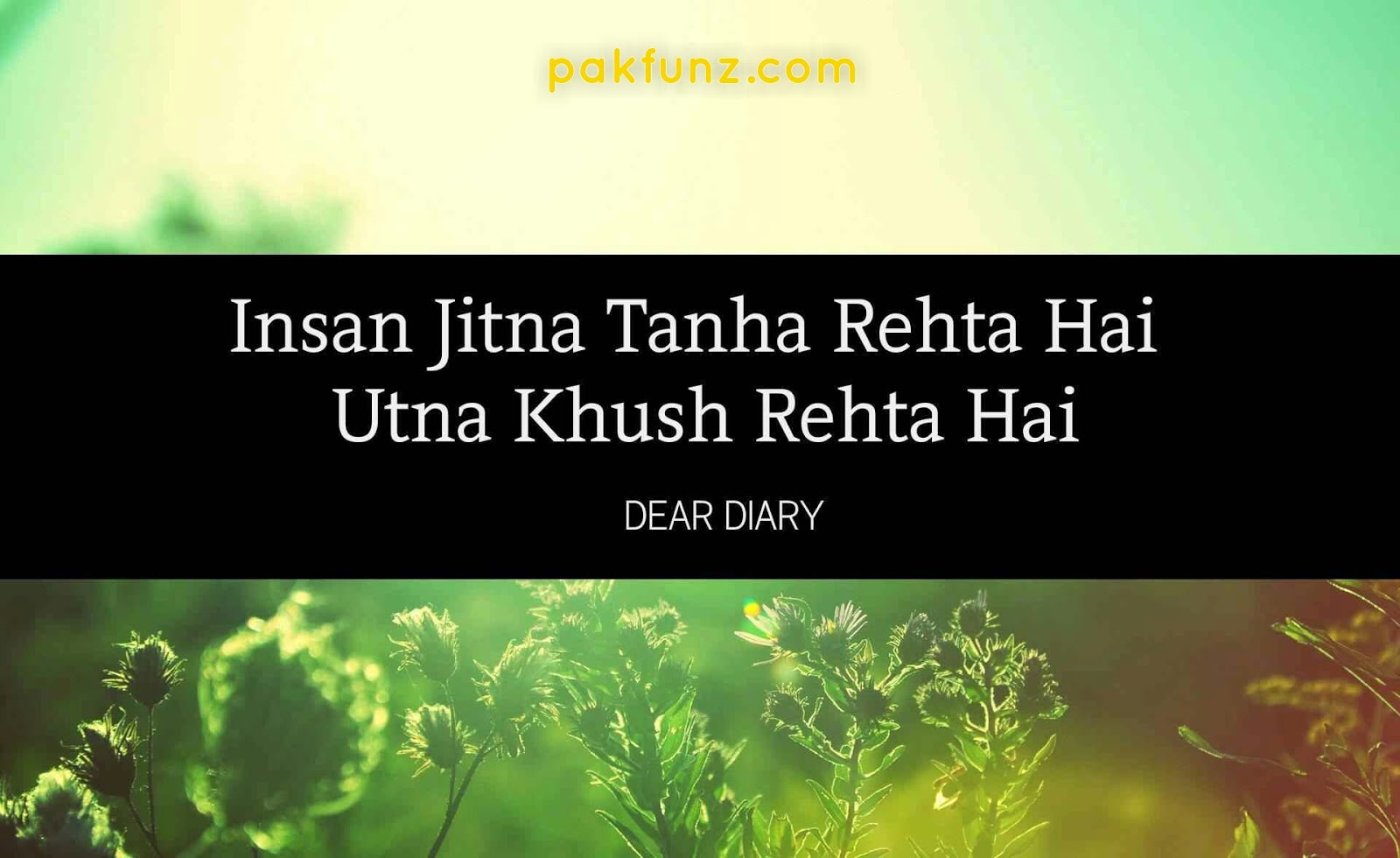 Sad Dear Diary Quotes