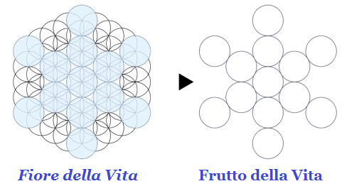 Il Fiore della Vita - Lo Schema della Creazione. | RiccaMente