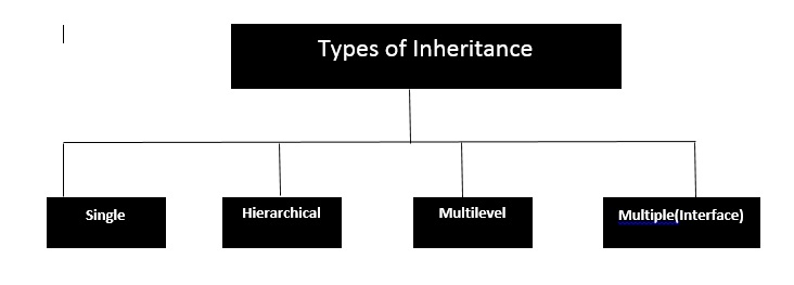 Inheritance in C# - Programming-World