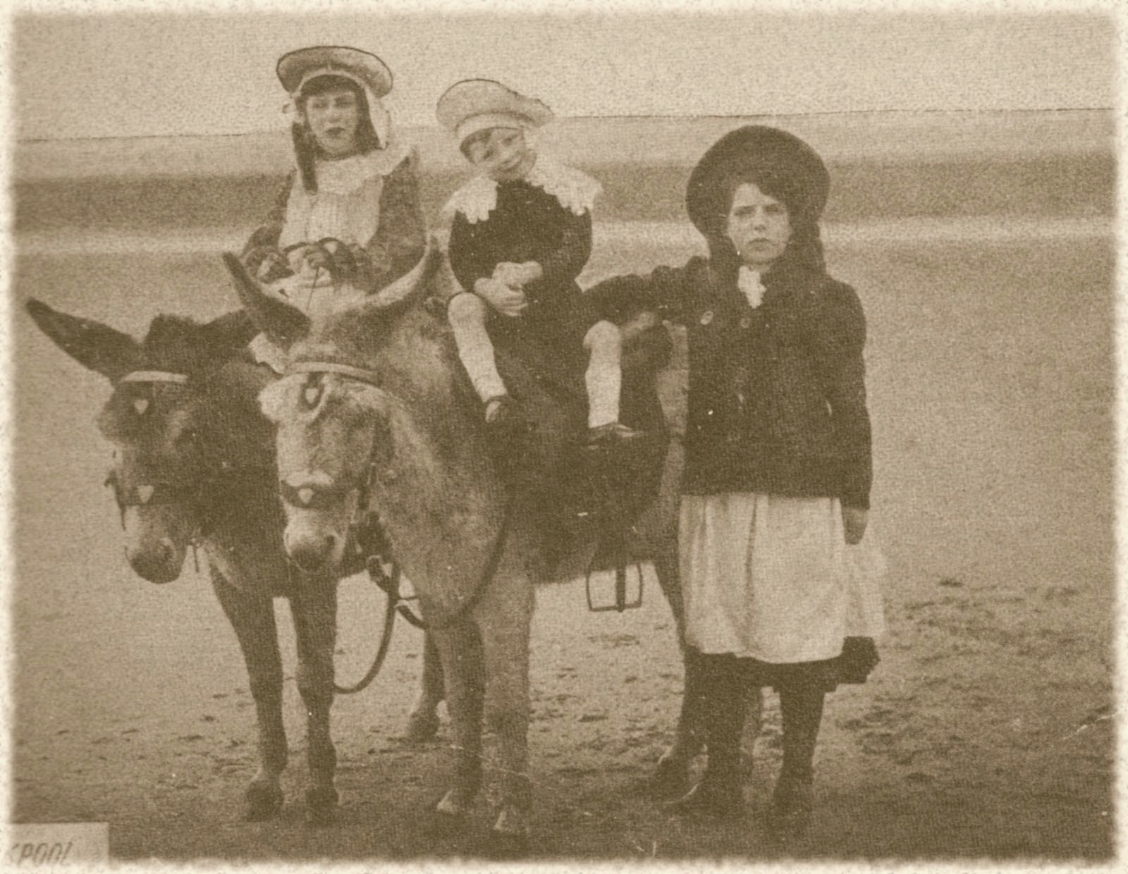 The Victorian Times: Seaside Pleasures