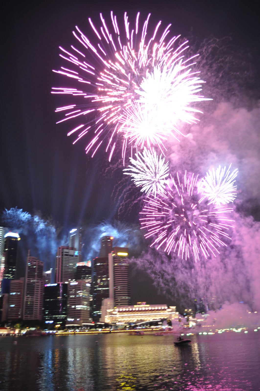 Lion King and Fireworks - Everything & anything with a pinch of zzanyy