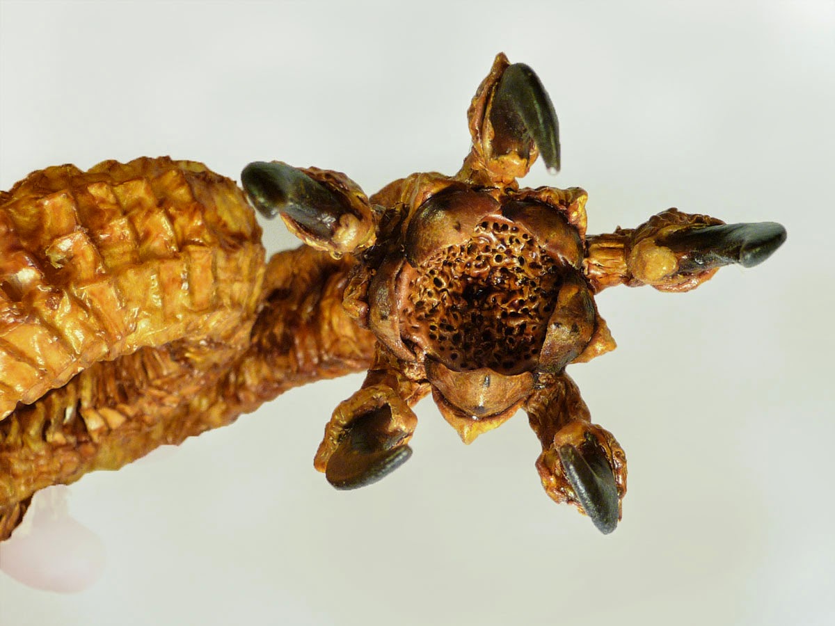 Propnomicon: June 2014