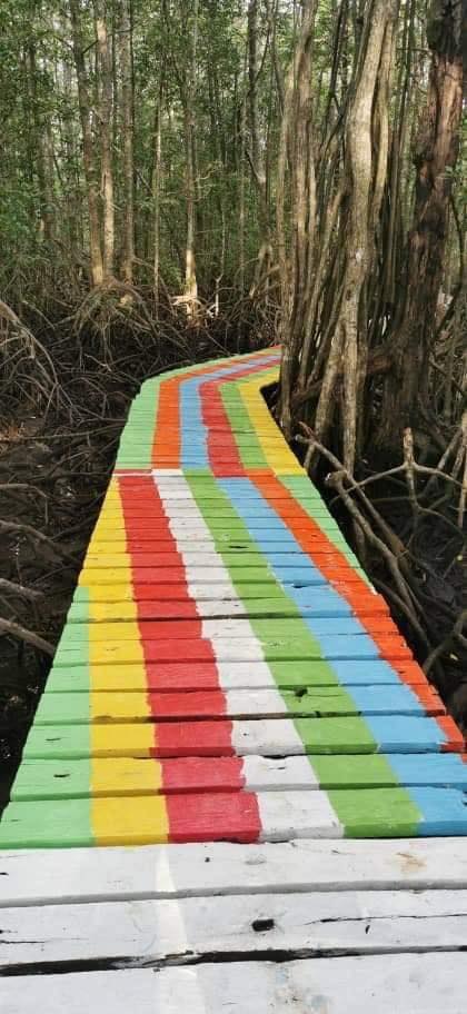 Pitas Bay View Sabah Malaysian Borneo (36 Photos)