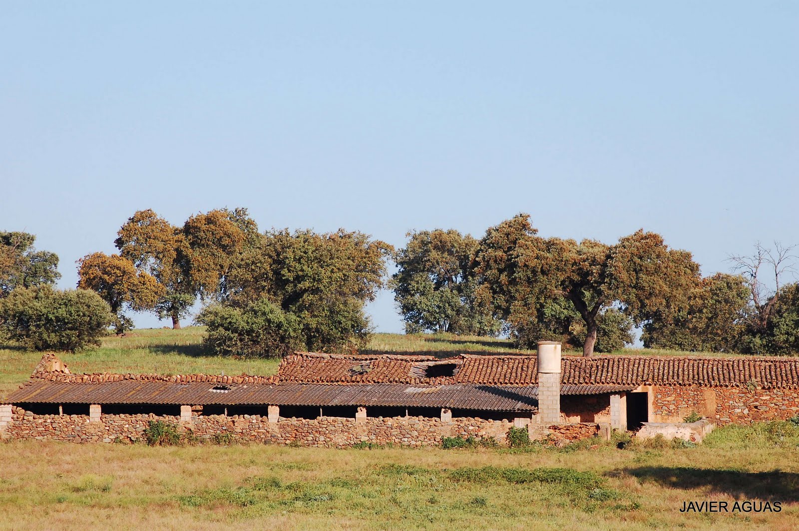 Lagartijo: ESTABLOS.