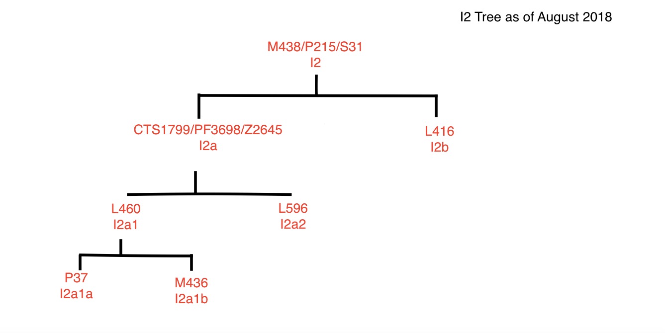 I-P37.2 haplogroup research: August 2018