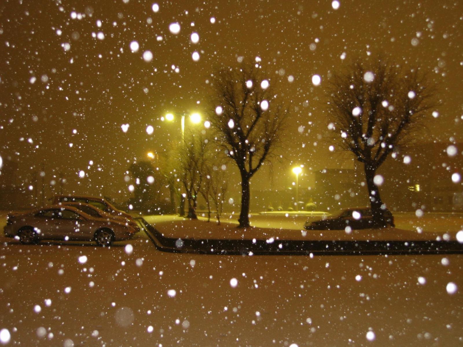 | Snow fall | Snow fall Pictures | Snow fall Wall papers | Snow fall ...