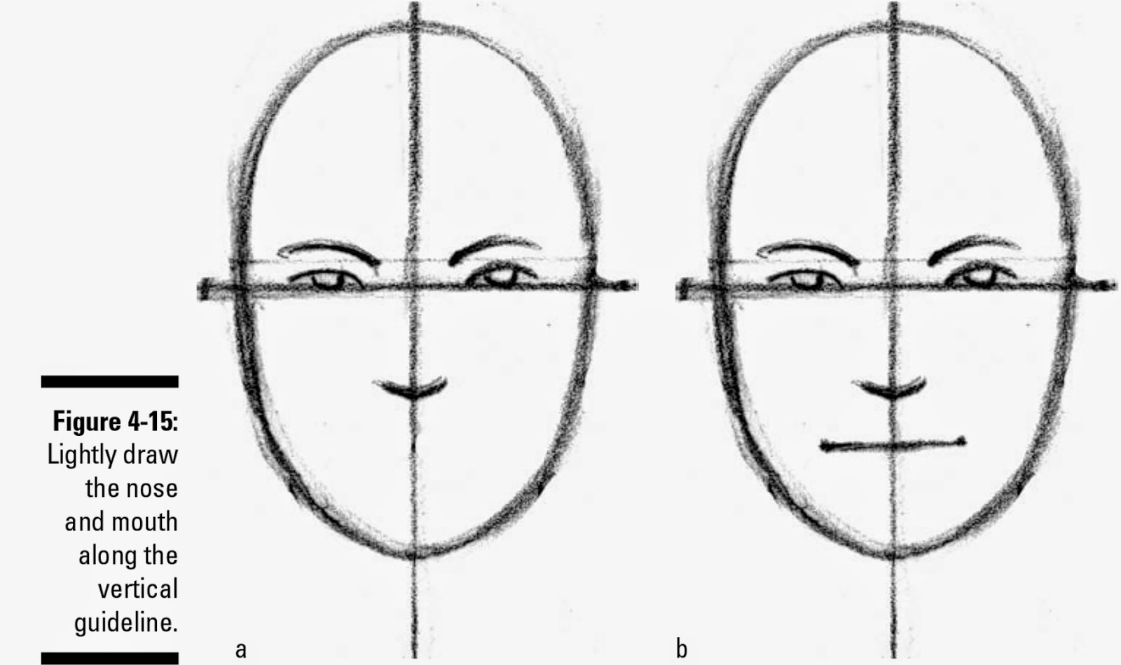 Drawings: Parts of the Head