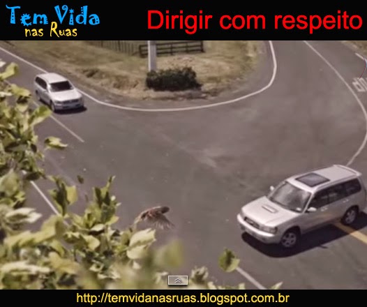 Tem Vida Nas Ruas: Dirija devagar e com respeito