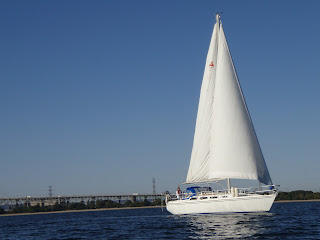 The Scuba Sailors: Getting to know SeeShell