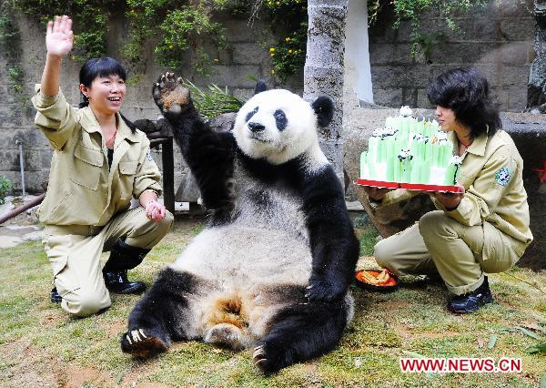 Funny Pictures Gallery: Funny panda, funny panda pictures, funny pandas ...