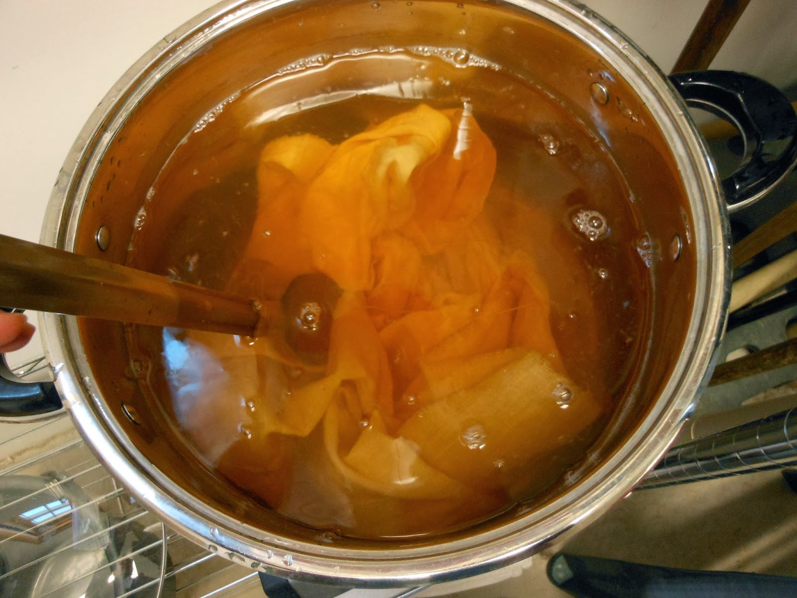 Studio Lizzy: Tutorial: Dyeing With Natural Dyes