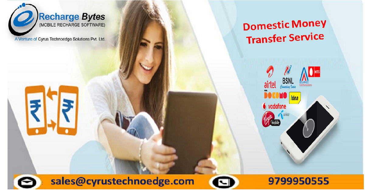 Domestic Money Transfer Solutions: How to Start Domestic Money Transfer ...