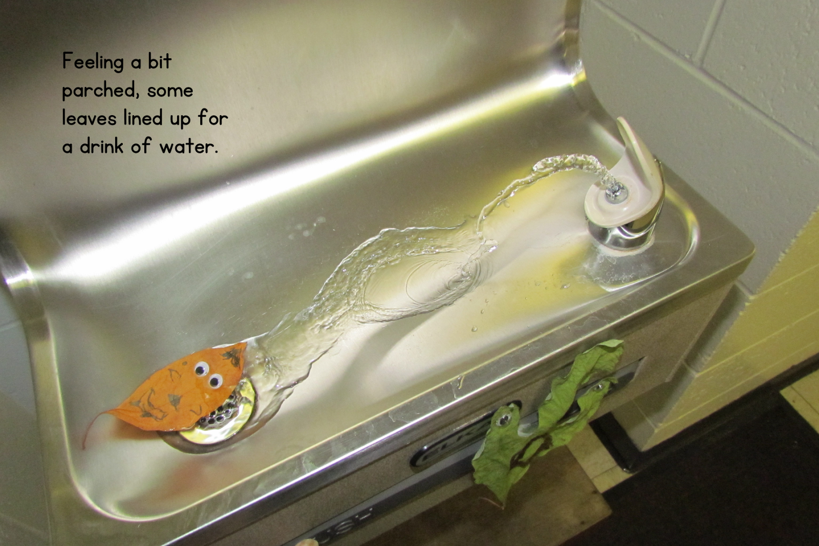 Owl Things First!: Bring a Leaf to School Day