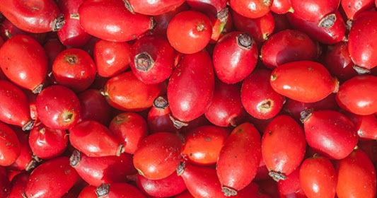 Bunatatile casei: Macese