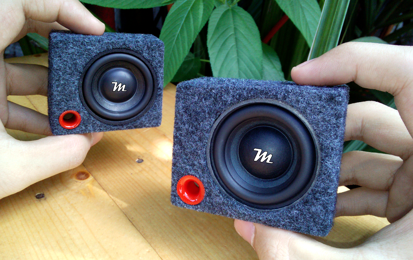 DIY Mini Subwoofer: 2019