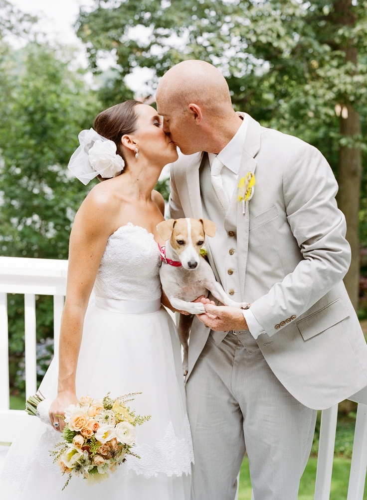 Bustled Blog: Puppy Love