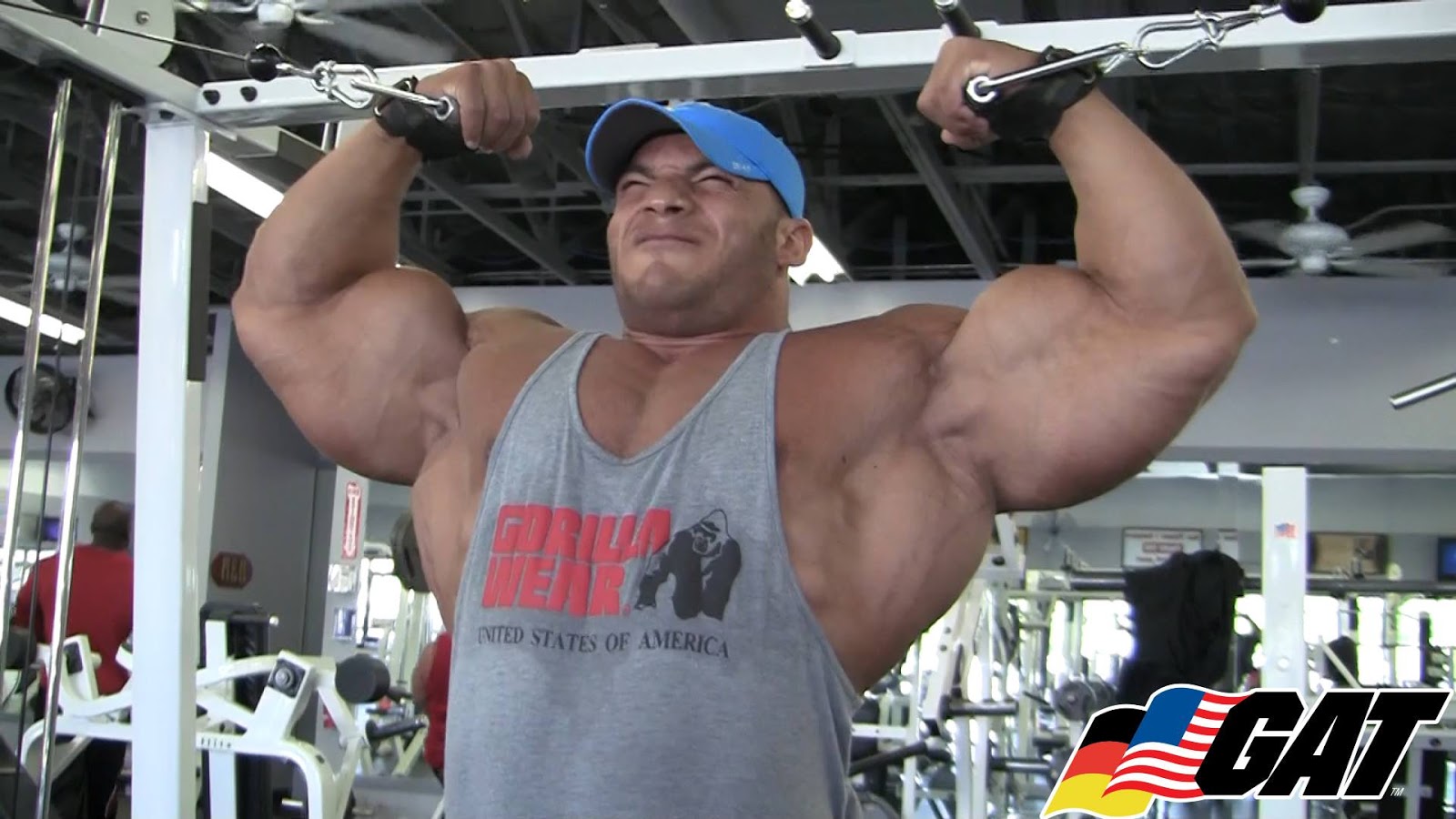 Muscle Lover: Biceps & Biceps by IFBB Pro Mamdouh "Big Ramy" Elssbiay