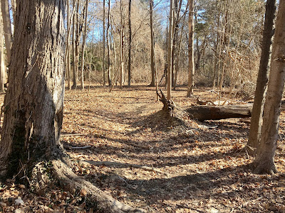 Nature: Nature Walks in Marshfield: 18 Places to Explore