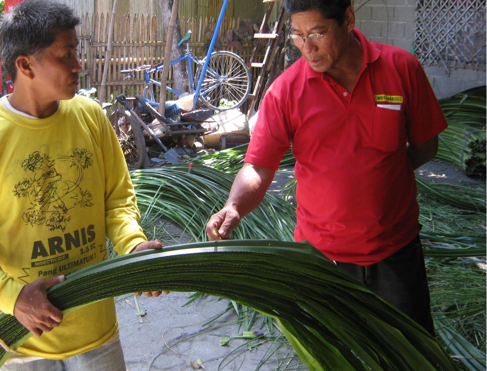 The WESVAARRDEC Journal: Making Strips, Weaving Lives